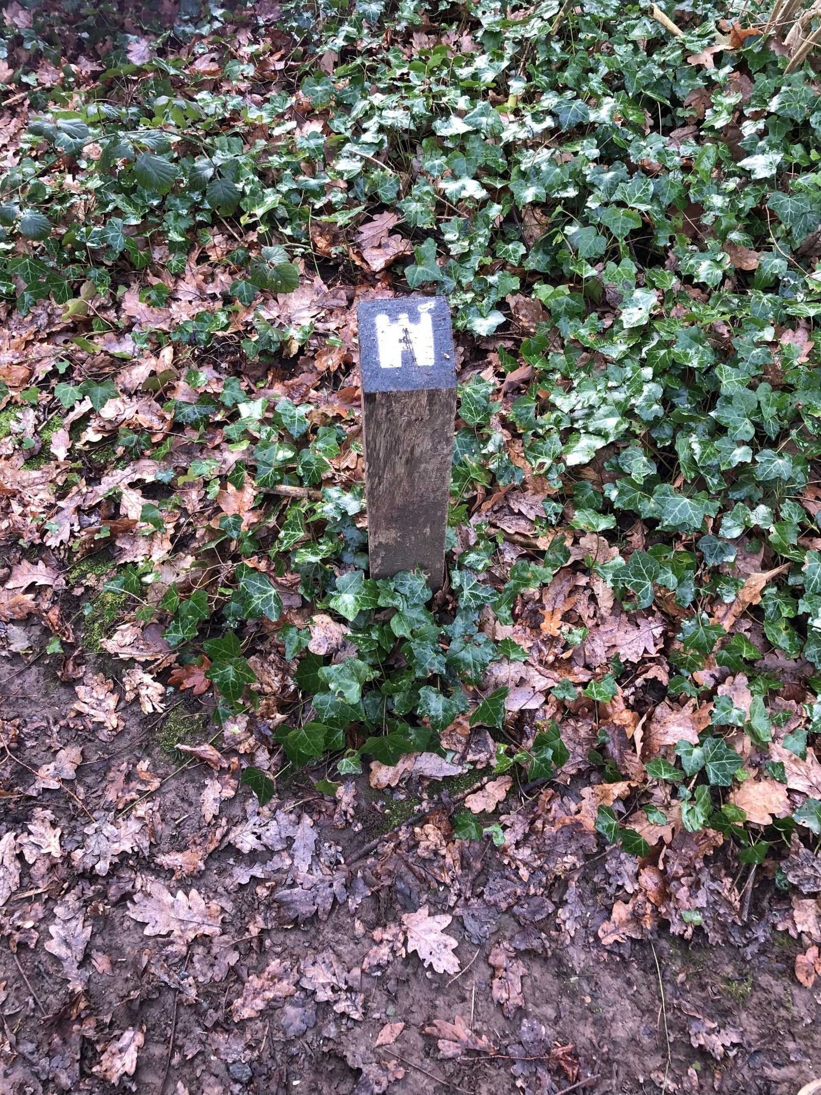 Blaise Castle Circular Walk - Somerset Family Adventures